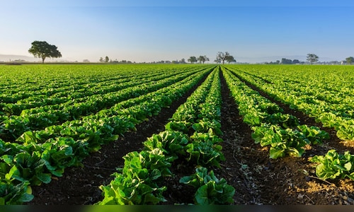 Maharashtra clears farm loan waiver of up to ₹2 lakh for 56 lakh ...