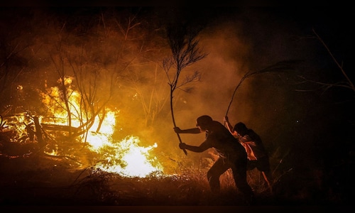 Floods, heatwaves and wildfires: See how climate disasters impacted the ...