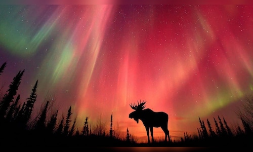 Auroras light up the world as strongest solar radiation storm hits ...