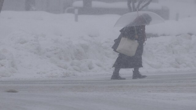 Heavy snowfall in Japan leaves 35 dead as two meters pile up, more ...