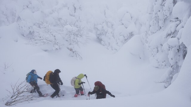 Heavy snowfall in Japan leaves 35 dead as two meters pile up, more ...
