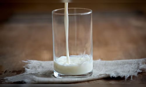 Explainer: What is coliform and why does it matter in milk safety ...