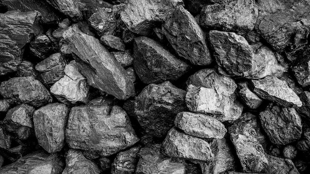 India explores Russian coking coal assets, more nickel supplies ...