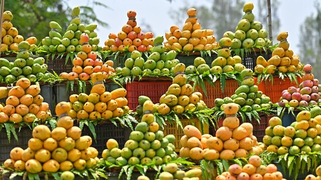 NABARD’s Jharkhand Mango Festival sells 100 tonnes of mangoes, crosses ...