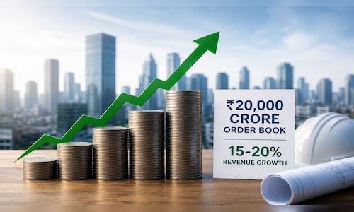 Welspun Enterprises expects 15-20% revenue growth backed by ₹20,000 ...