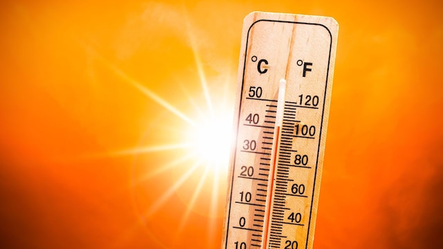 How heatwaves affect the human body and why extreme heat can turn ...