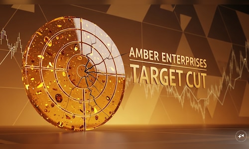 Amber Enterprises share price target cut after biggest fall in four ...