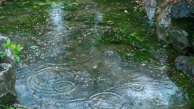 Heatwave finally breaks across North India; monsoon at Kerala's ...