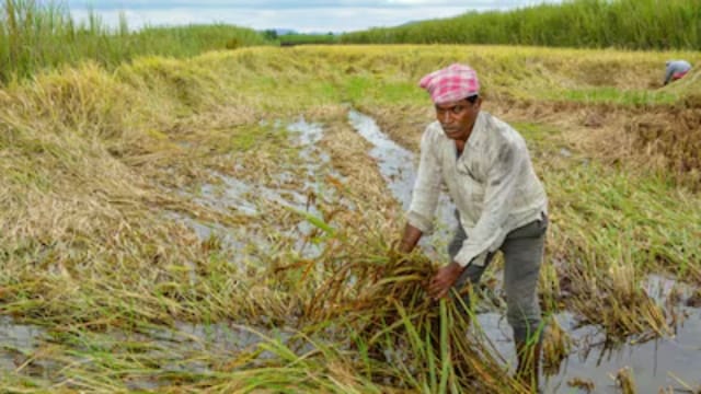 What to expect as Kerala prepares for monsoon onset amid extreme heat ...