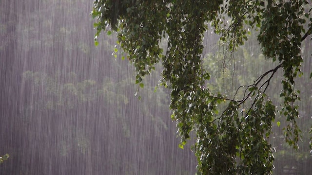 Southwest Monsoon stalls, Mumbai’s water crisis set to deepen - CNBC TV18