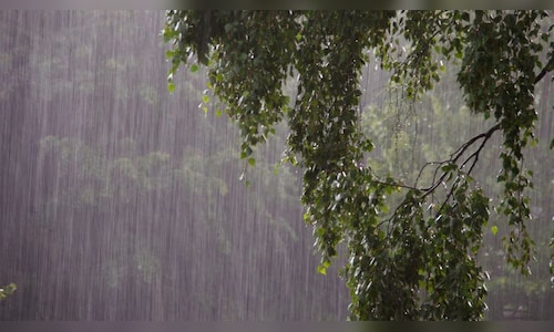 Weak monsoon, El Niño and rising input costs put India’s farm economy ...