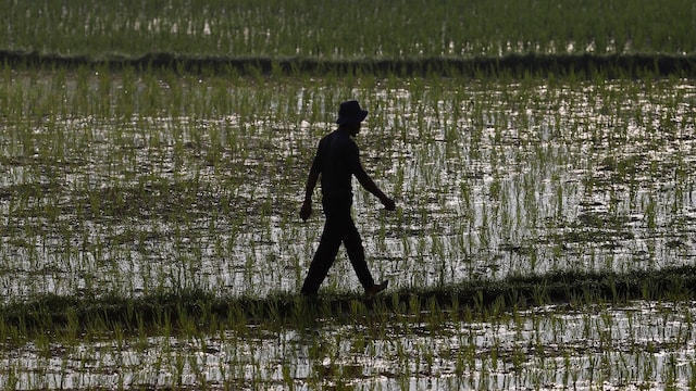 PM Kisan alert: 23rd installment date fixed - money to hit accounts ...