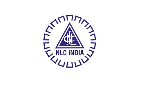 NLC India partners CSIR-CECRI to tap rare earths from mining waste ...