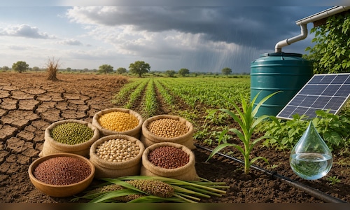 As monsoon lags, farmers should shift to drought-resistant crops ...
