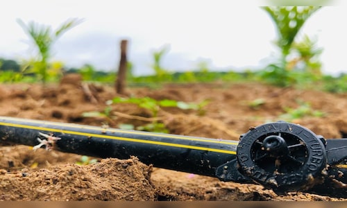 Jain Irrigation Systems commissions 20,000 tonne biochar facility in ...