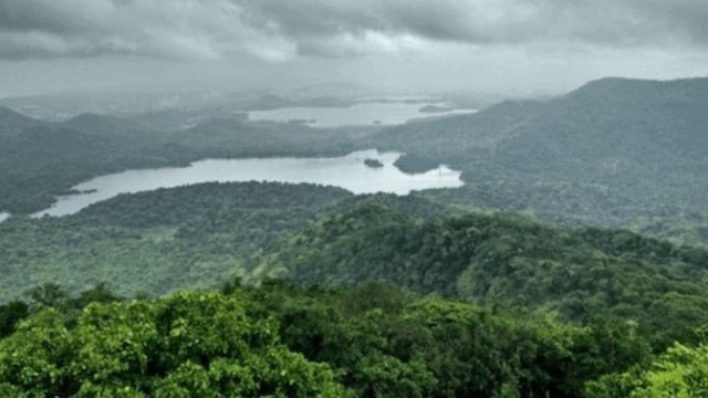 Mumbai lake levels hit 12.49% due to monsoon delay; 350 wells to be ...
