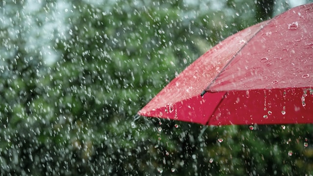 Mumbai set for another rainy day; heavy showers to lash Northeast ...