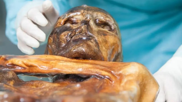 Microbes found living inside body of 5,300-year-old 'Iceman' mummy ...