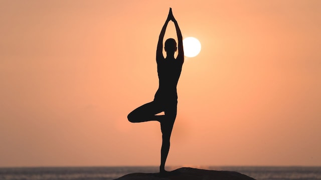 International Yoga Day 2026: 10 beginner-friendly yoga poses to start ...