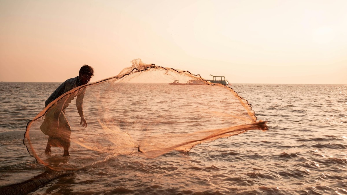 Odisha Cabinet clears ₹2,295 crore deep sea fishing mission, targets ...