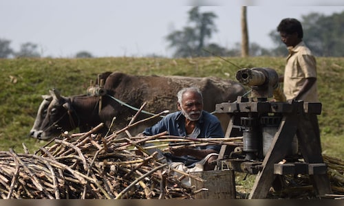 NRC final draft: What does it say and what is at stake? - CNBC TV18