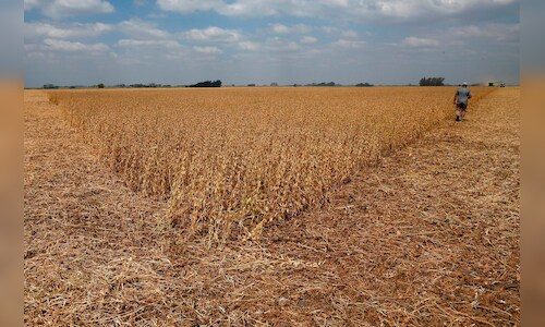 Chile announces unprecedented water rationing plan: Here's how it will ...