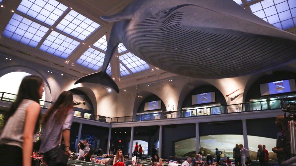 Adults take over science museums when night falls