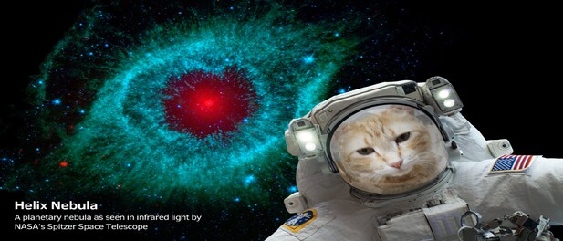 New Nasa App Clicks Selfies In 'Out Of The World' Locations