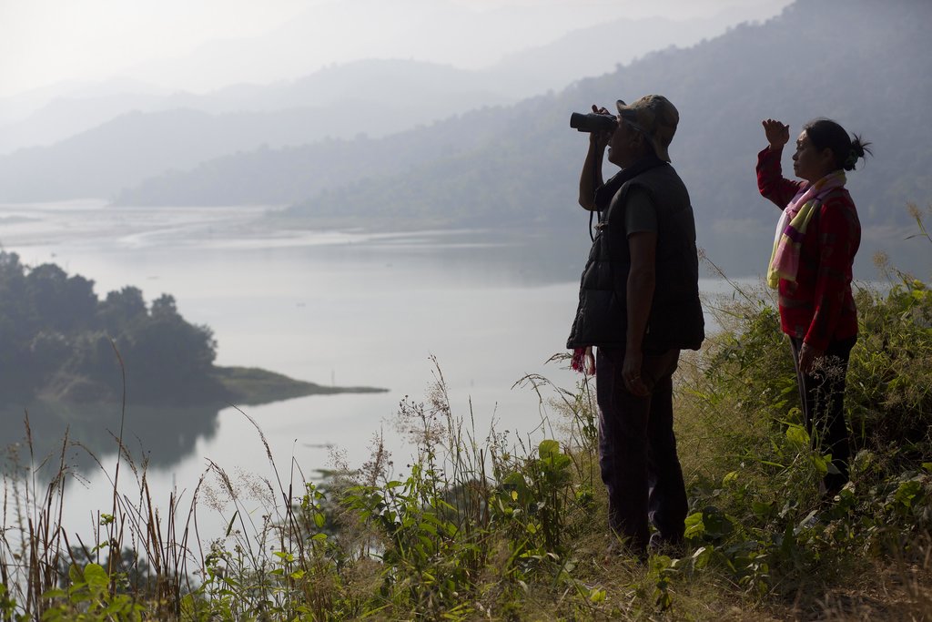Northeastern India falcon hunters turn protectors - cnbctv18.com