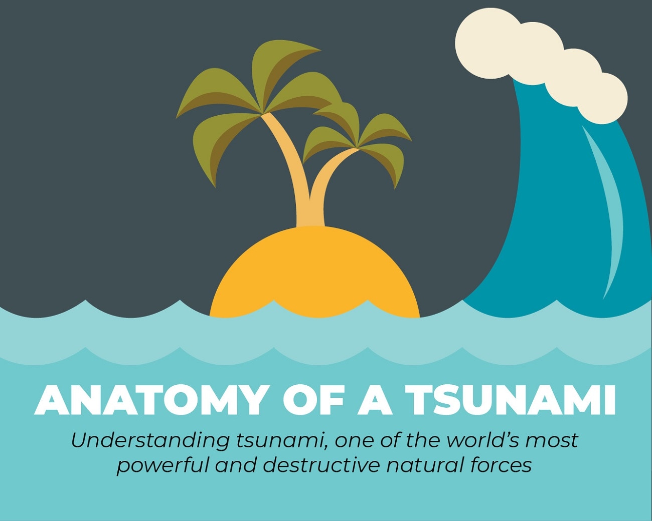 Anatomy of a Tsunami - cnbctv18.com