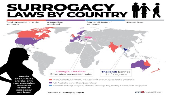 Ban on donor gametes in surrogacy rule can be diluted on a case-to-case ...