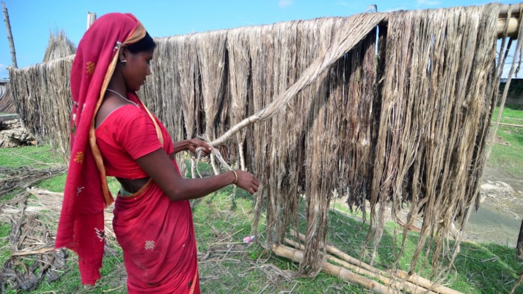Jute diversified exports grow 24% in 5 years