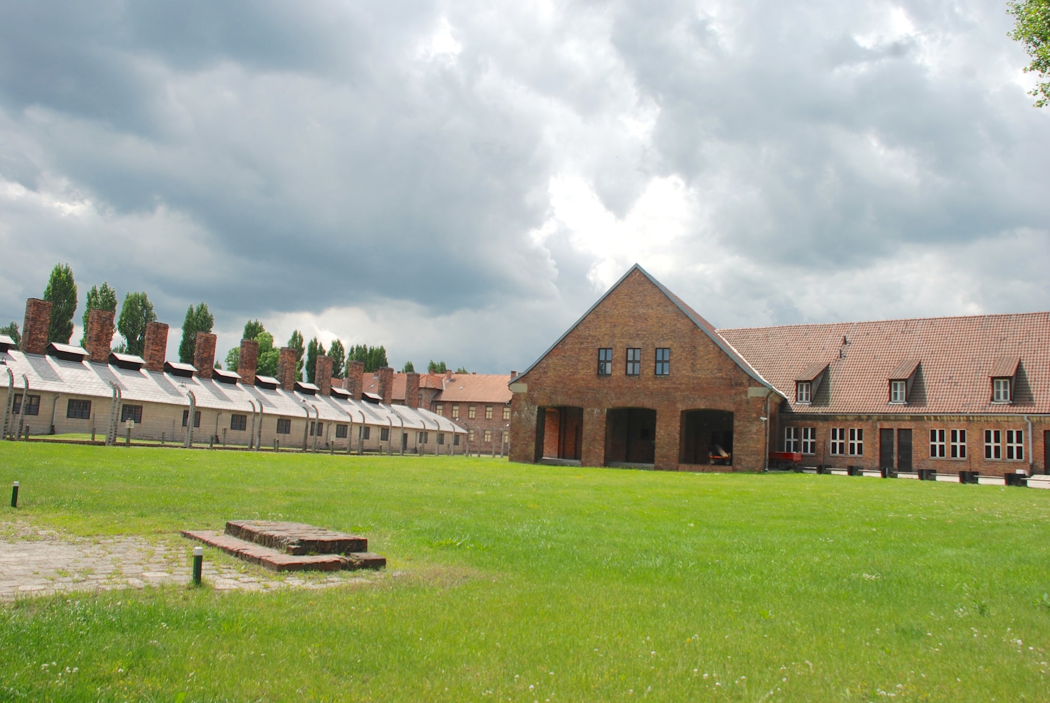In Auschwitz on its Liberation Day