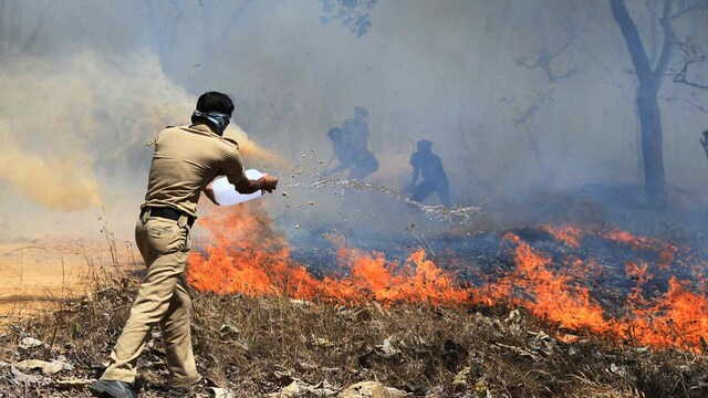 Forest fire at Bandipur Tiger Reserve contained with help of water ...