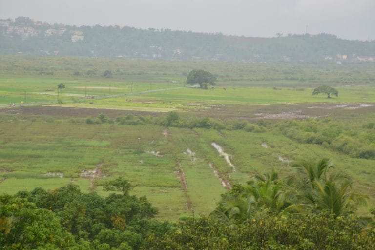 A 24-Year-Old Woman Is Leading The Way To Catalogue Biodiversity Of A ...