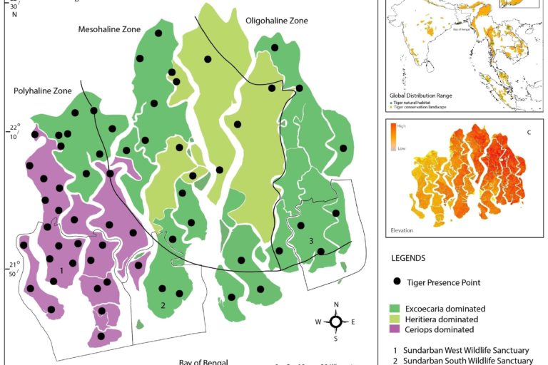 Climate change imperils Sundarbans tiger habitats