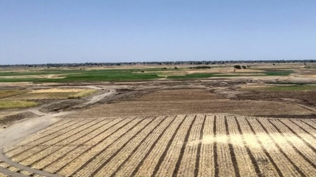 Indian-American scientist appointed acting head of top US agriculture ...