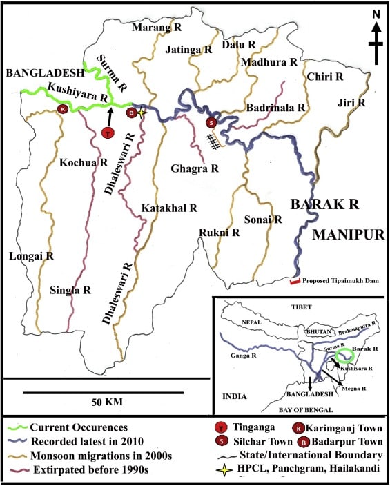 Is the endgame inevitable for the Ganges river dolphin in Barak river ...