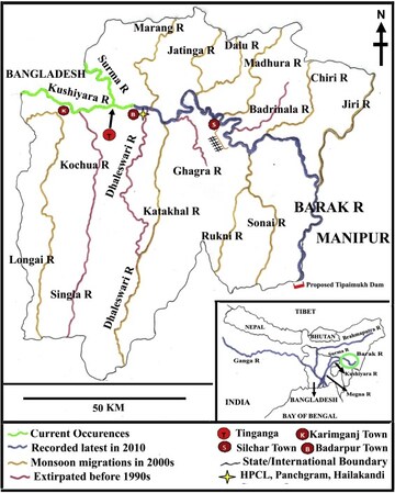 Is the endgame inevitable for the Ganges river dolphin in Barak river ...