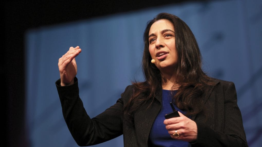 Indian-American author gives the idea of ‘Jugaad’ an innovative new ...