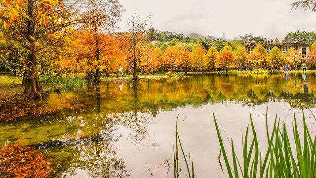 Smart Travel: The top 6 slow cities in the world - CNBC TV18