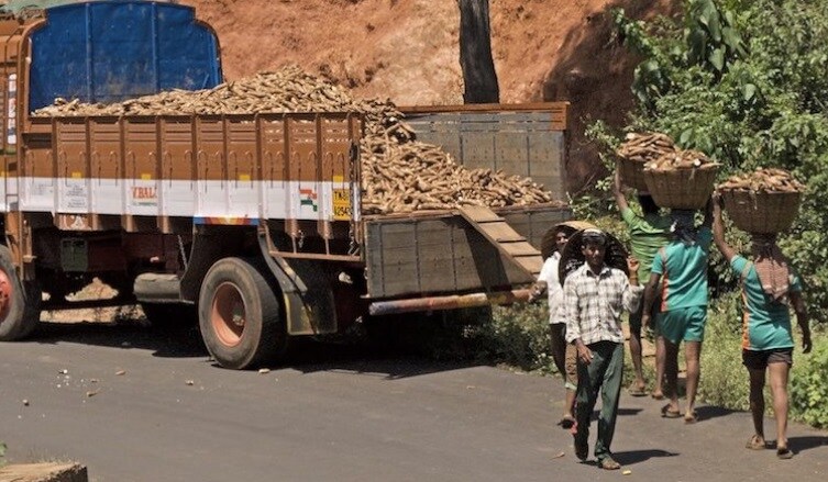 Report pitches for ‘urban-rural’ links, innovations to transform rural ...