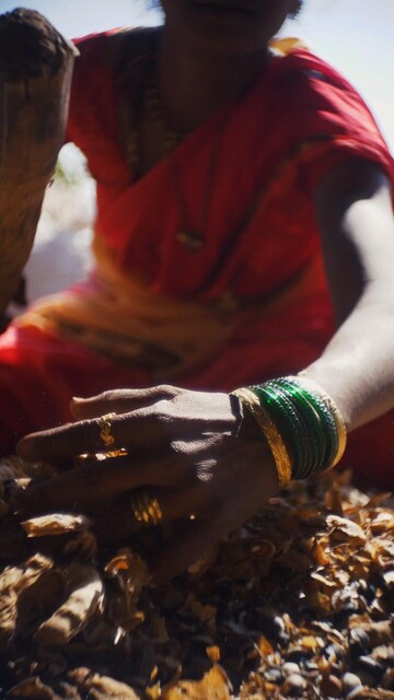 Mumbai filmmaker's three-minute movie on Maharashtra's 'Seed Mother ...