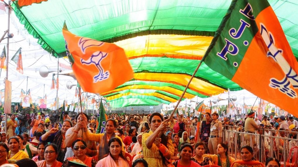 Laddoo cake, special kamal barfi to add colour to BJP celebrations, if...