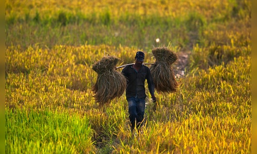 Social Development Sector in 2023 — an year of contrasts - CNBC TV18