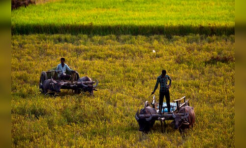 A look at reasons behind rise in capital flow in the agritech space ...