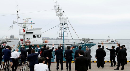 In pictures: Japan resumes commercial whaling after 3 decades