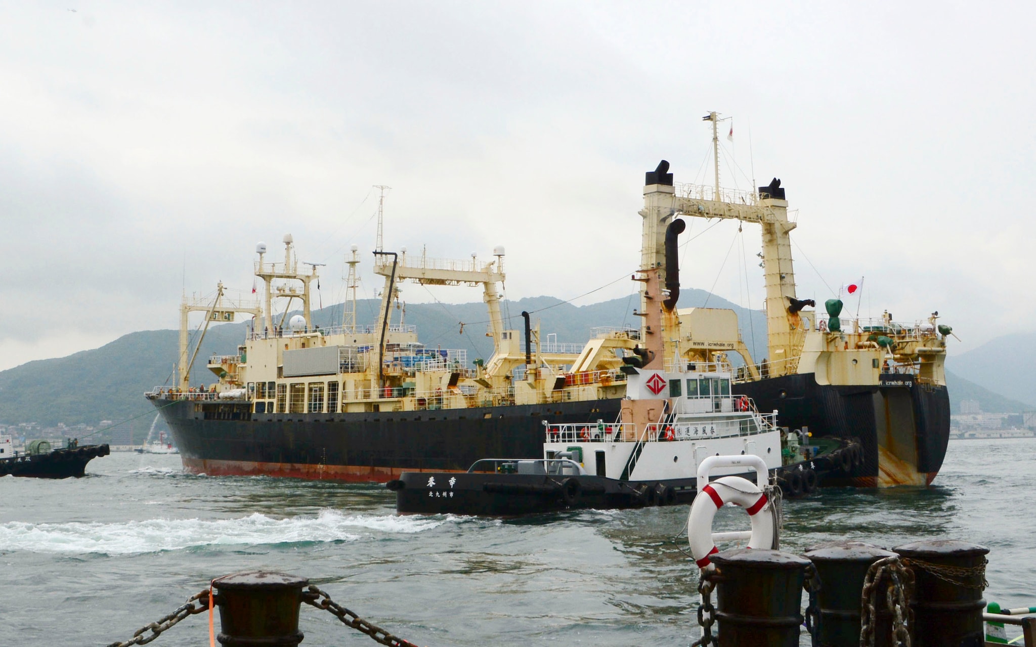In pictures: Japan resumes commercial whaling after 3 decades ...
