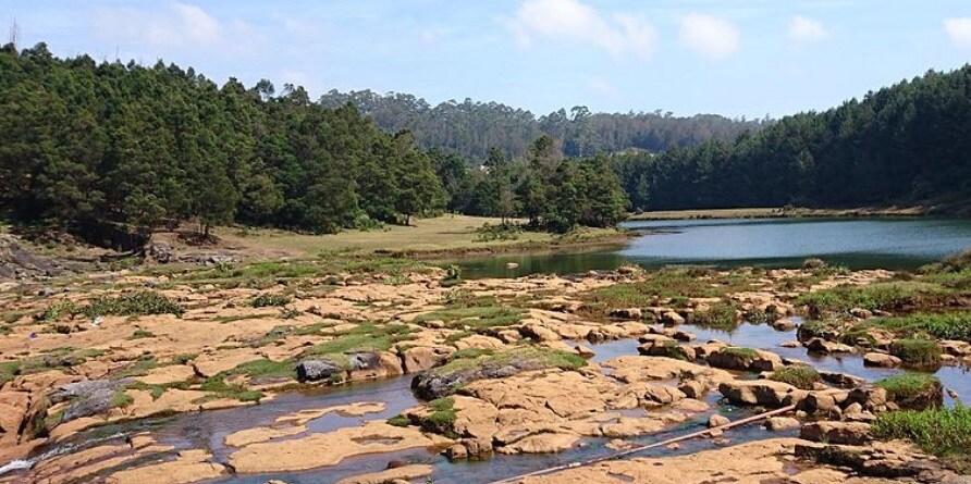 A much-needed voice for the Nilgiris