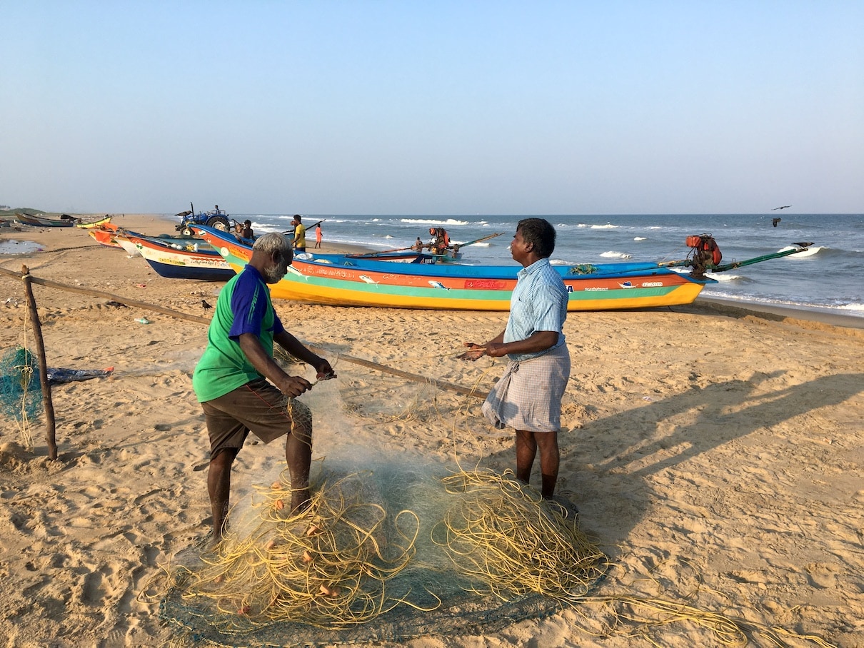India Begins Regulating Its Fisheries
